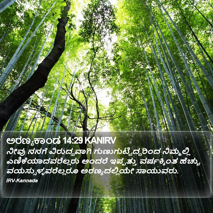 ಅರಣ್ಯಕಾಂಡ 14:29 KANIRV - ನೀವು ನನಗೆ