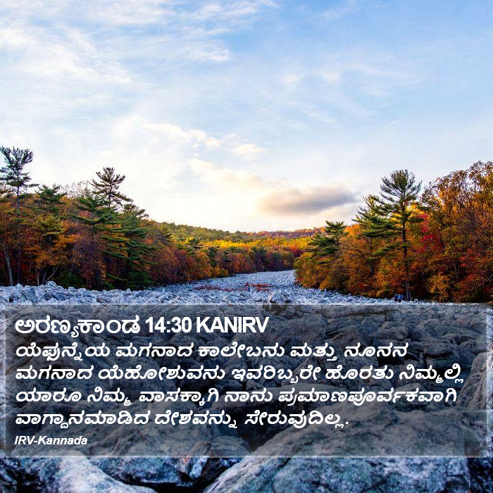 ಅರಣ್ಯಕಾಂಡ 14:30 KANIRV - ಯೆಫುನ್ನೆಯ ಮಗನಾದ