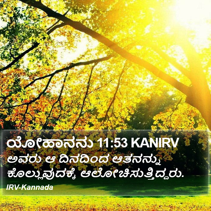 ಯೋಹಾನನು 11:53 KANIRV - ಅವರು ಆ ದಿನದಿಂದ